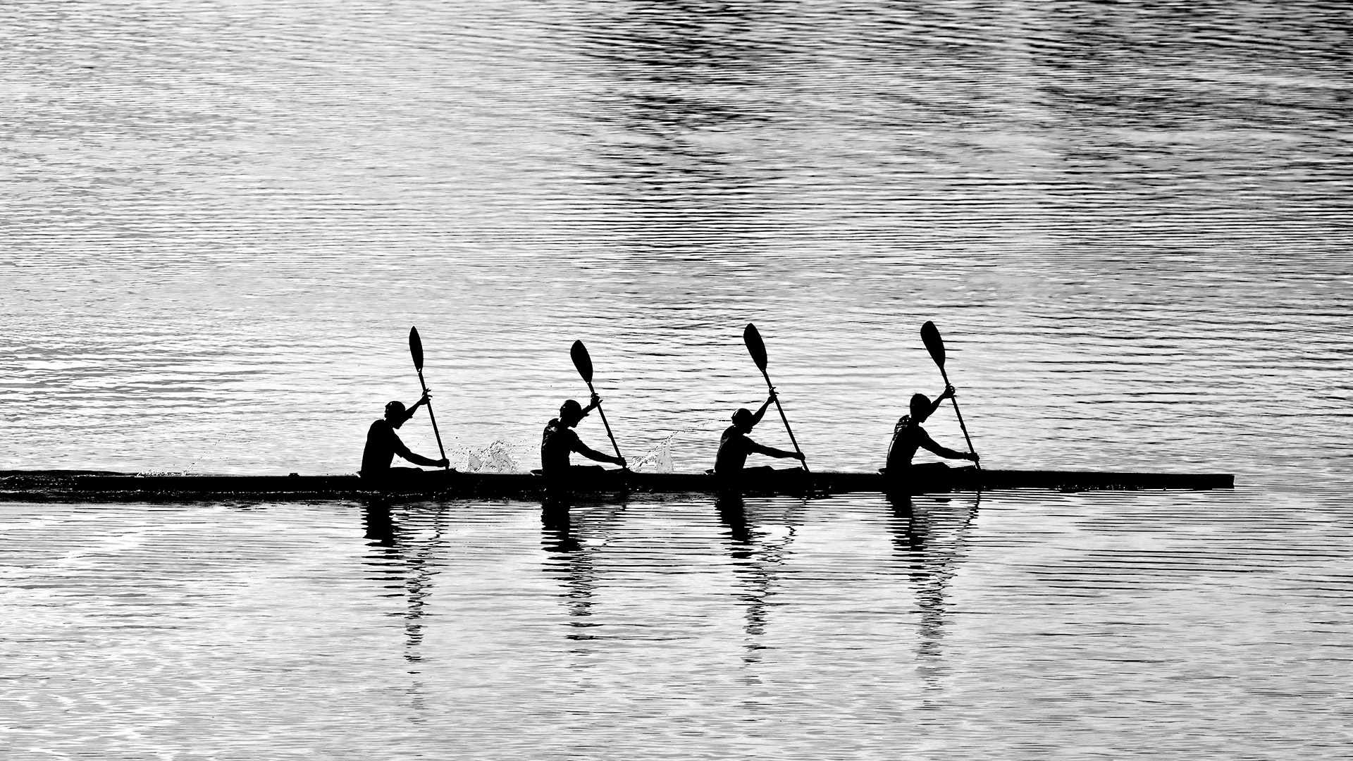 Accueil - ACTION REPRISE